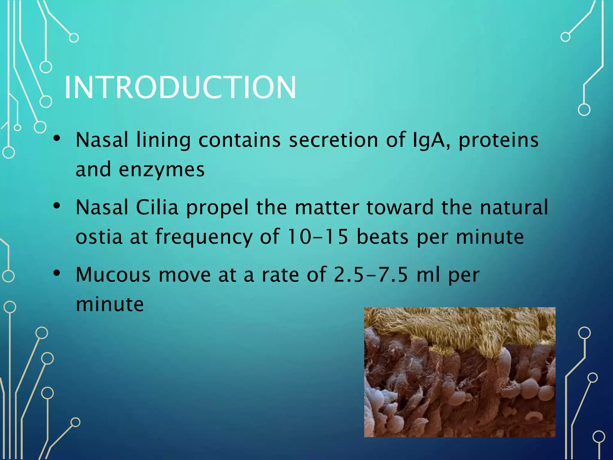 Allergic rhinitis - presentation | PPTX