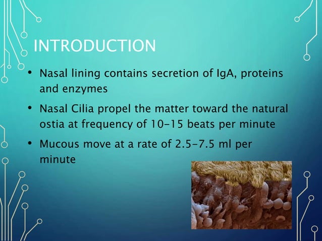 Allergic rhinitis - presentation | PPTX | Allergies | Diseases and ...