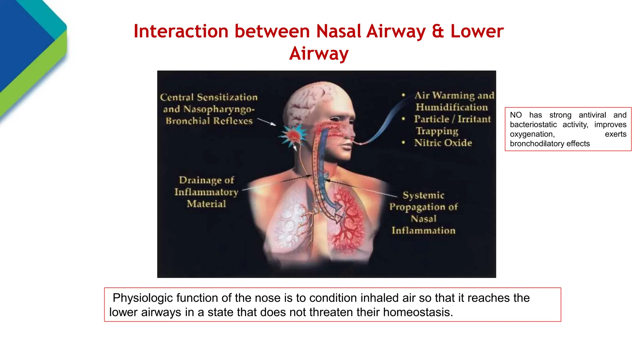 Allergic Rhinitis and Co-morbid Asthma.pptx