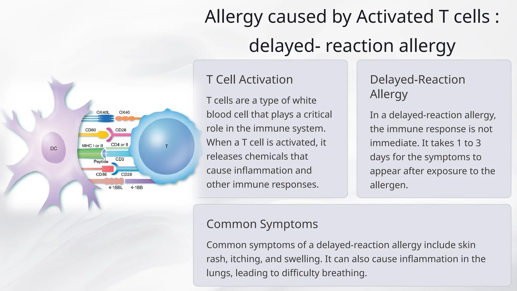 What is allergy or hypersensitivity? How does it occurs | PPTX