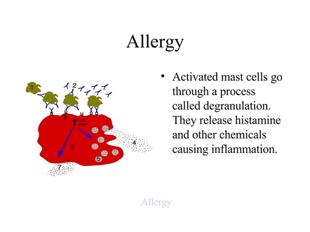 Allergy | PPT