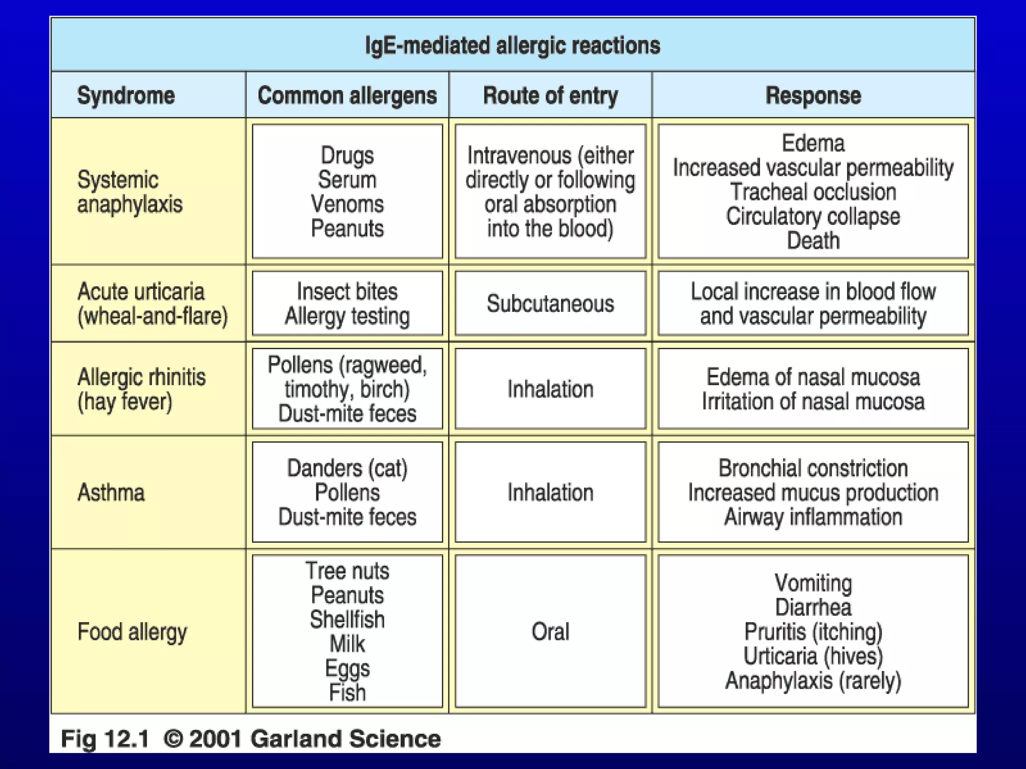 Allergy and Hypersensitivity | PPT