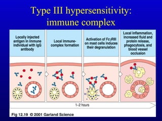 Allergy and Hypersensitivity | PPT