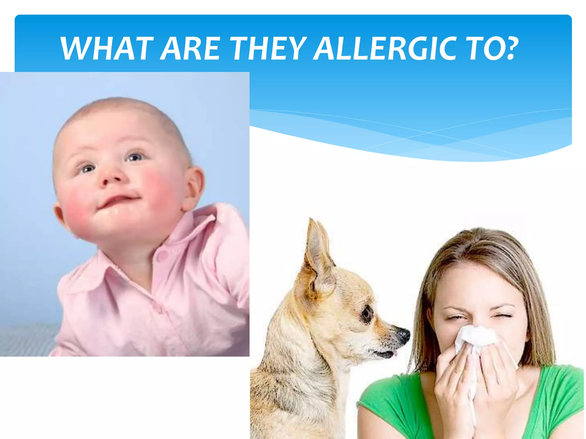 Allergy | PPT