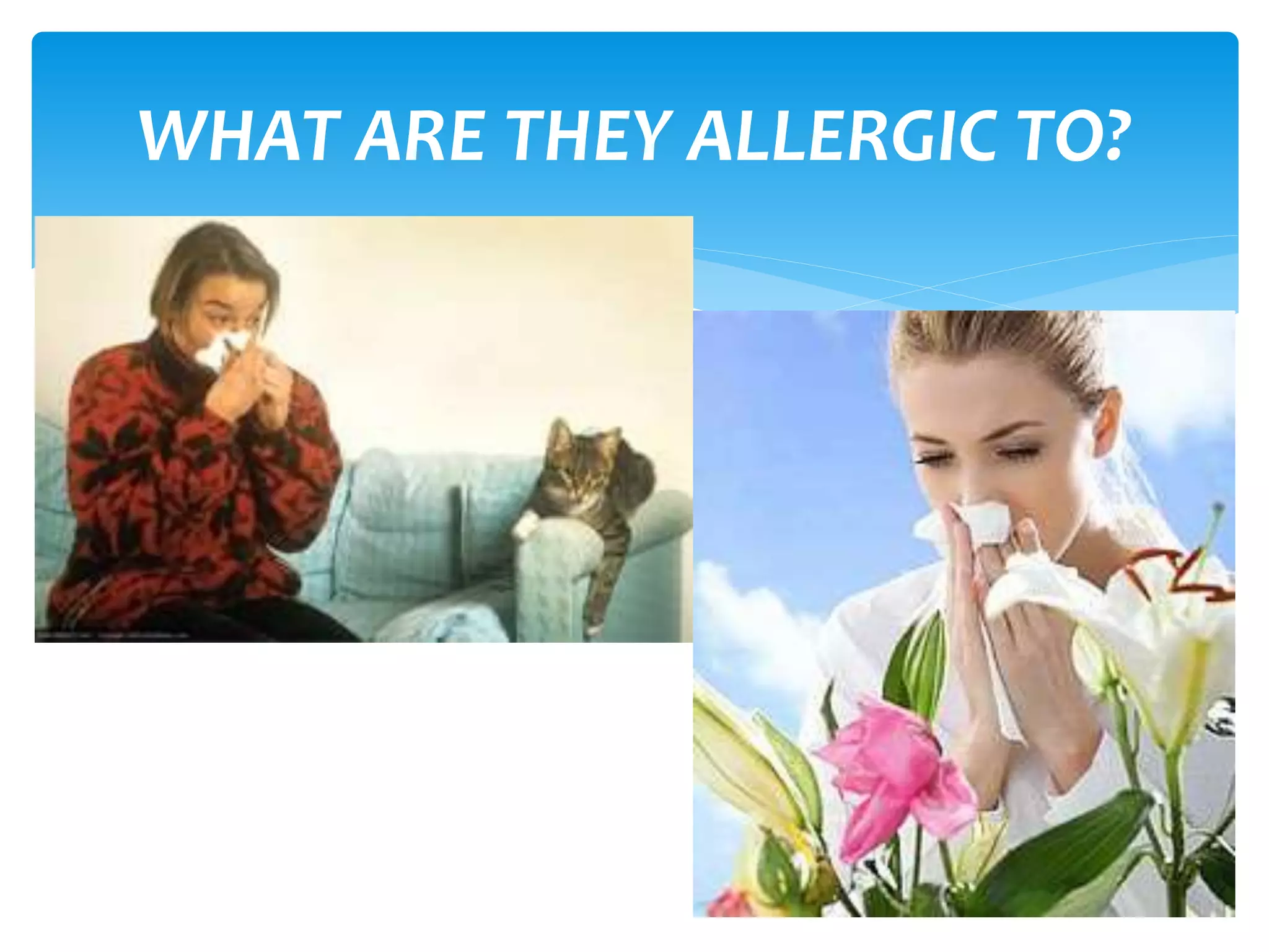 Allergy | PPT