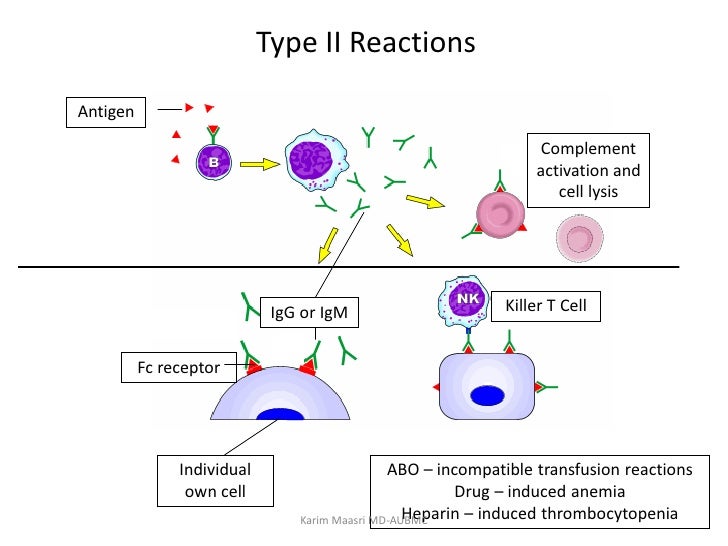 Allergy and anesthesia