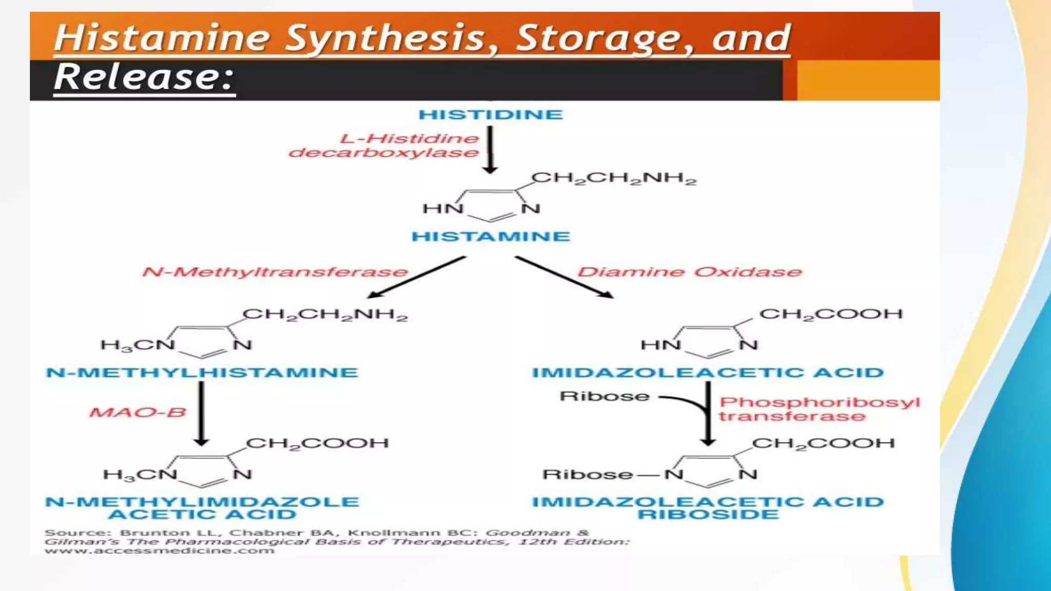 Allergy and histamine | PPTX