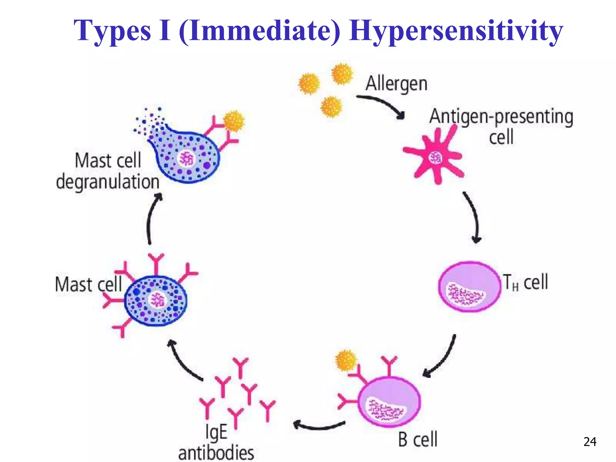 Allergy and Hypersensitivity | PPTX