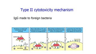 Allergy & hypersensitivity | PPTX