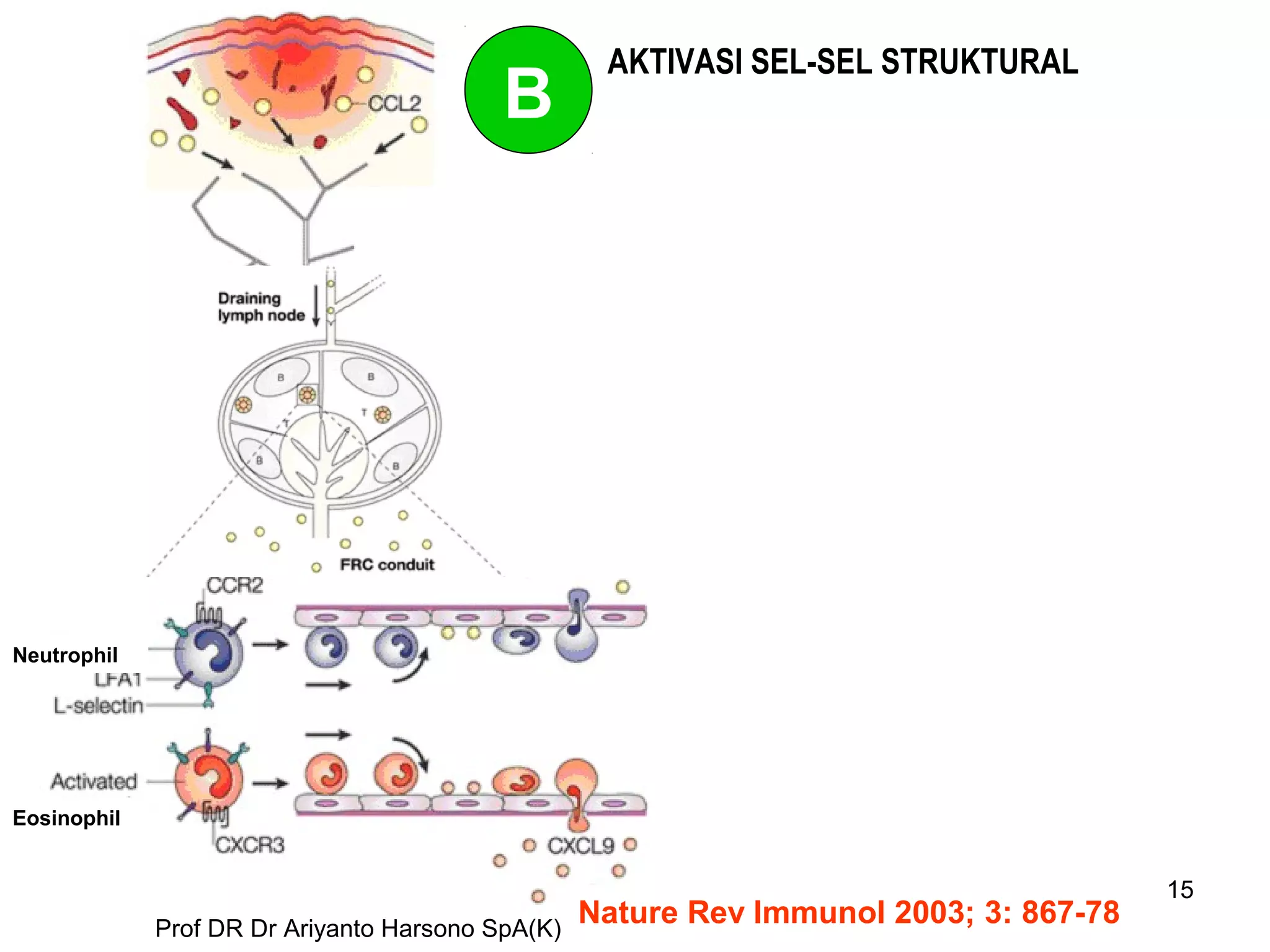 Allergy march from atopic dermatitis to lifelong allergy | PPT