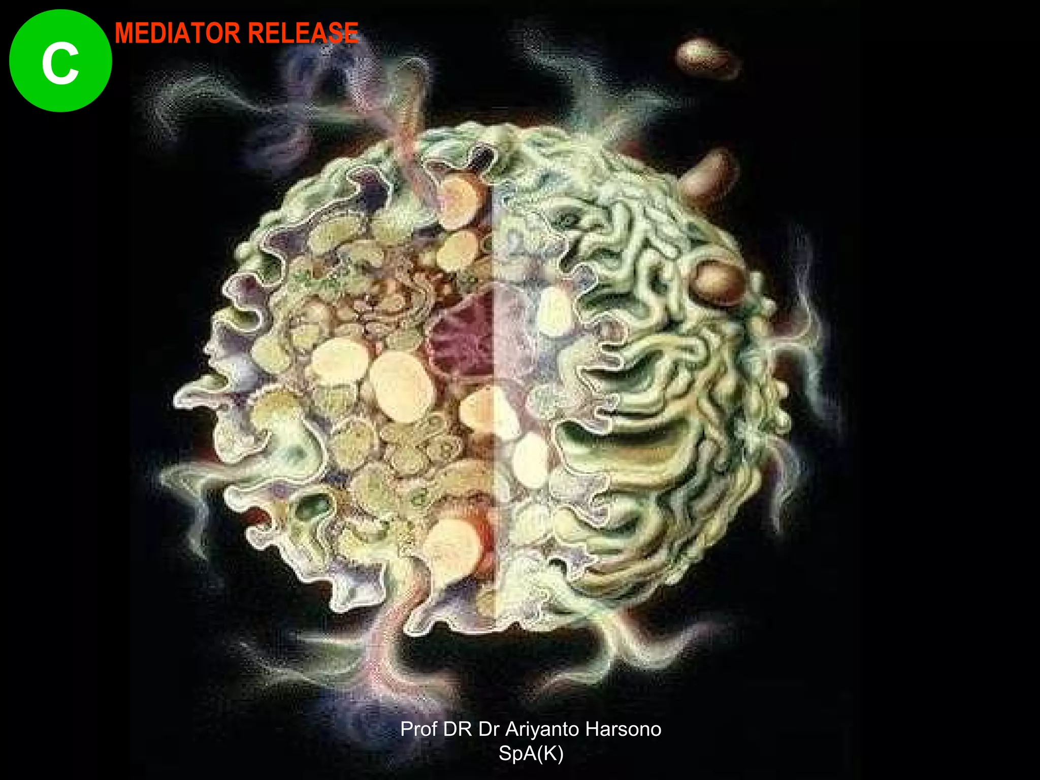 Allergy march from atopic dermatitis to lifelong allergy | PPT