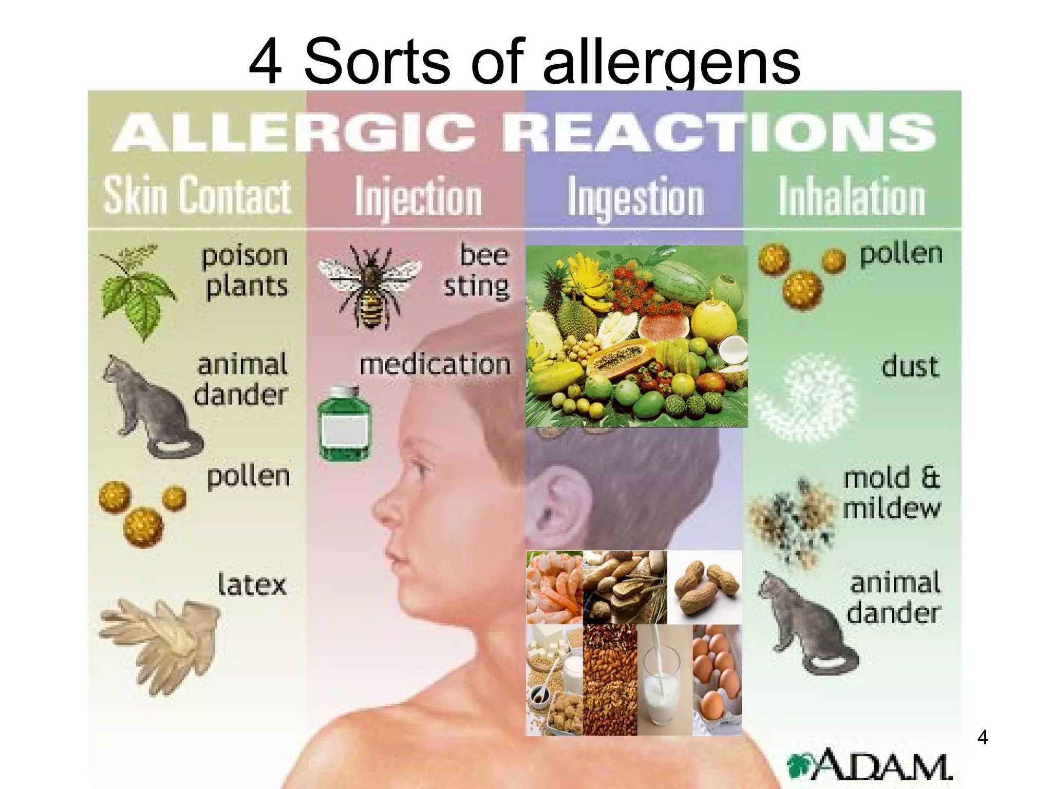 Allergy march from atopic dermatitis to lifelong allergy | PPT