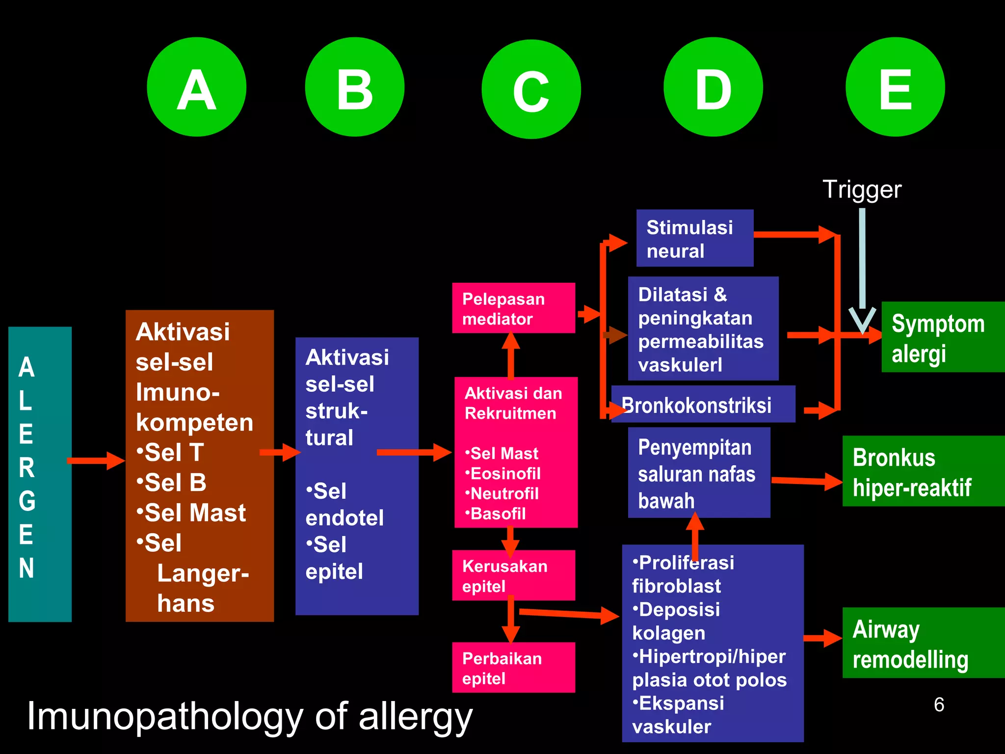 Allergy march from atopic dermatitis to lifelong allergy | PPT