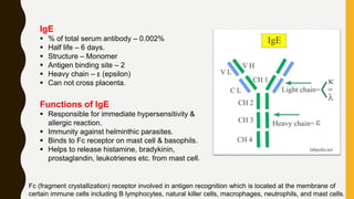 Allergy, Allergen & Antibody | PPTX
