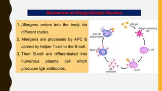 Allergy, Allergen & Antibody | PPTX