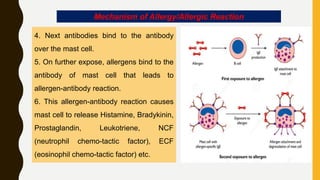 Allergy, Allergen & Antibody | PPTX