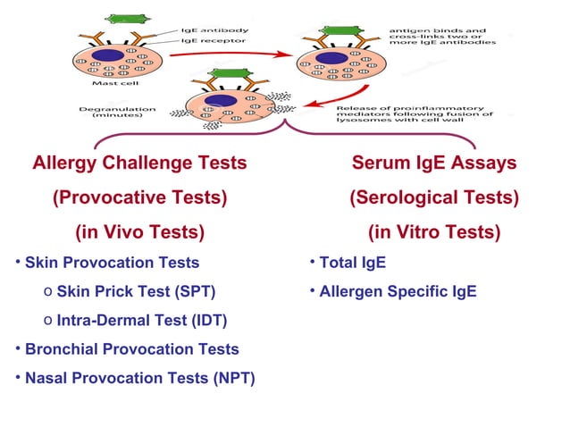 Allergy testing | PPT