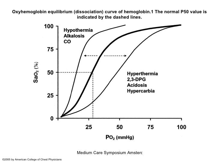 Sessie 2: Alles draait om zuurstof