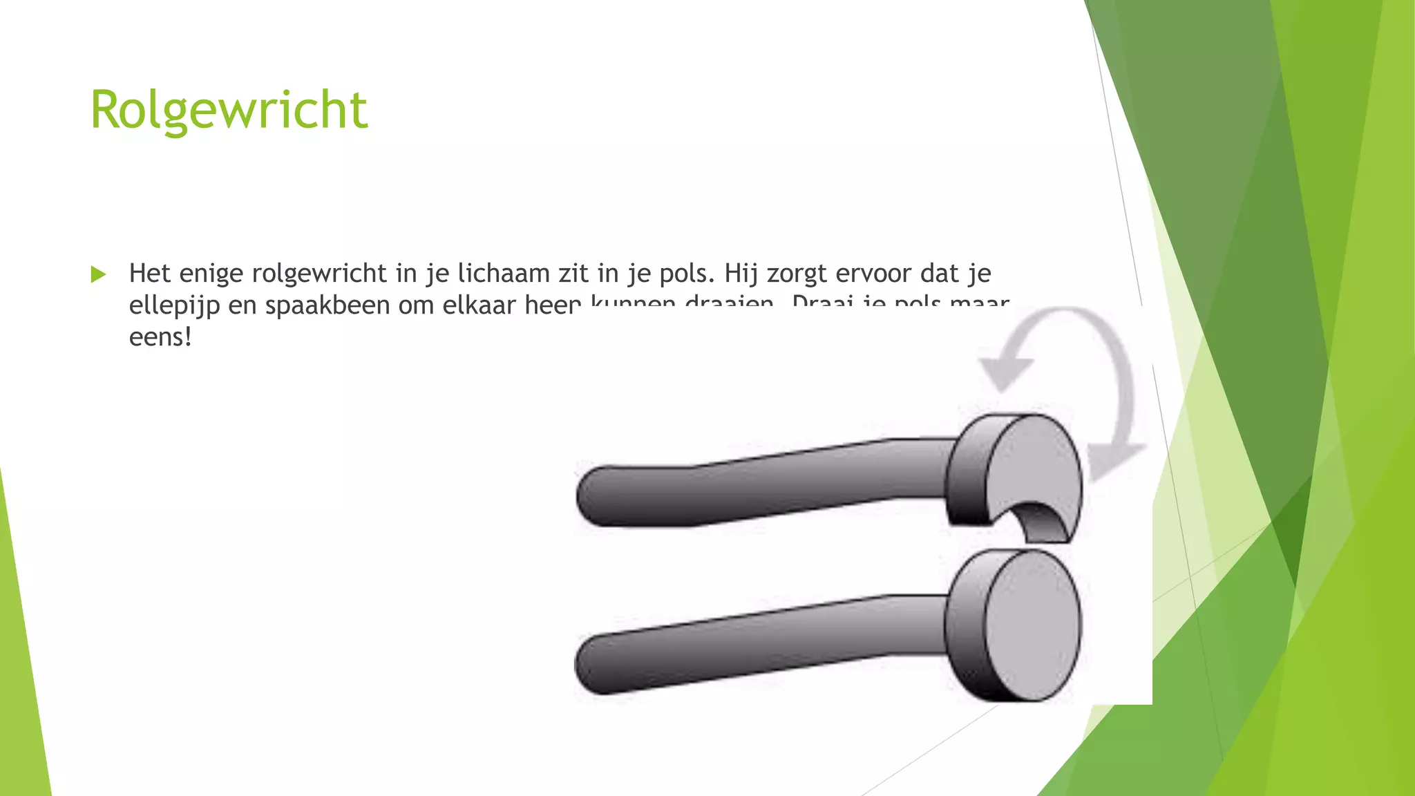 Alles over gewrichten | PPTX