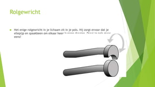 Alles over gewrichten | PPTX