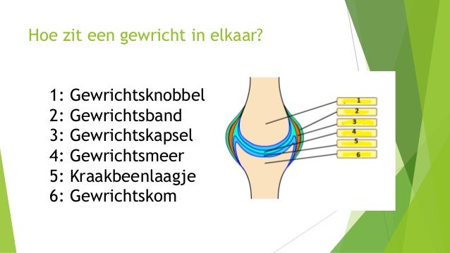 Alles over gewrichten