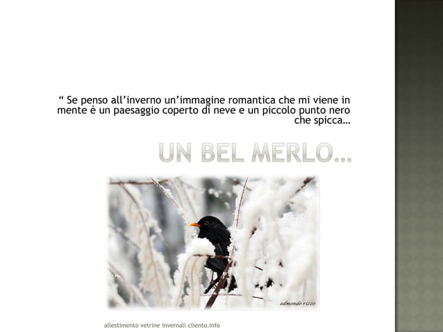 Allestimento vetrine invernali: 4 temi da usare | PPT