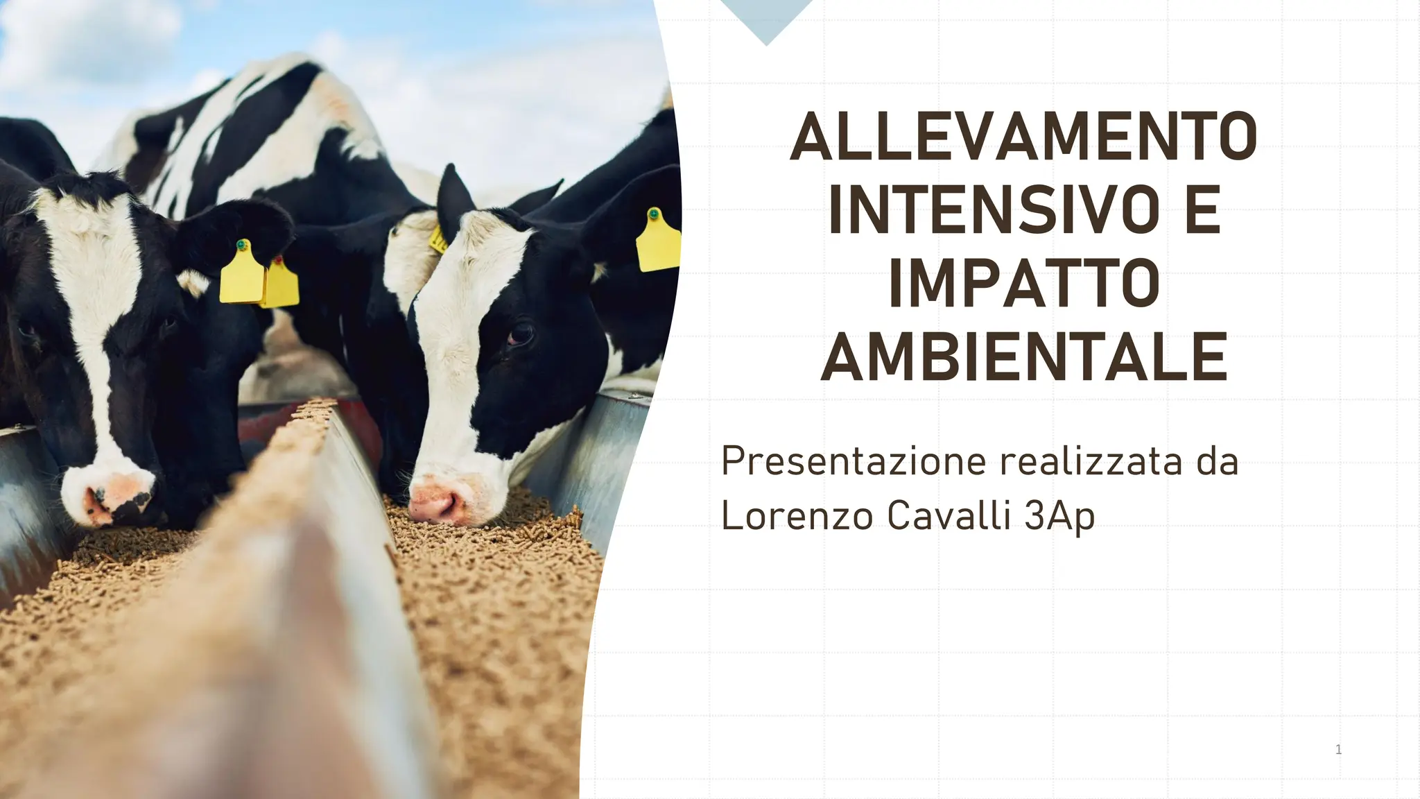 ALLEVAMENTO INTENSIVO E IMPATTO AMBIENTALE.pdf