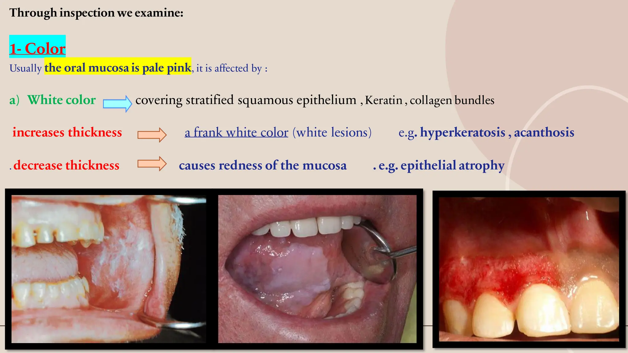 All Extra oral examination .pdf