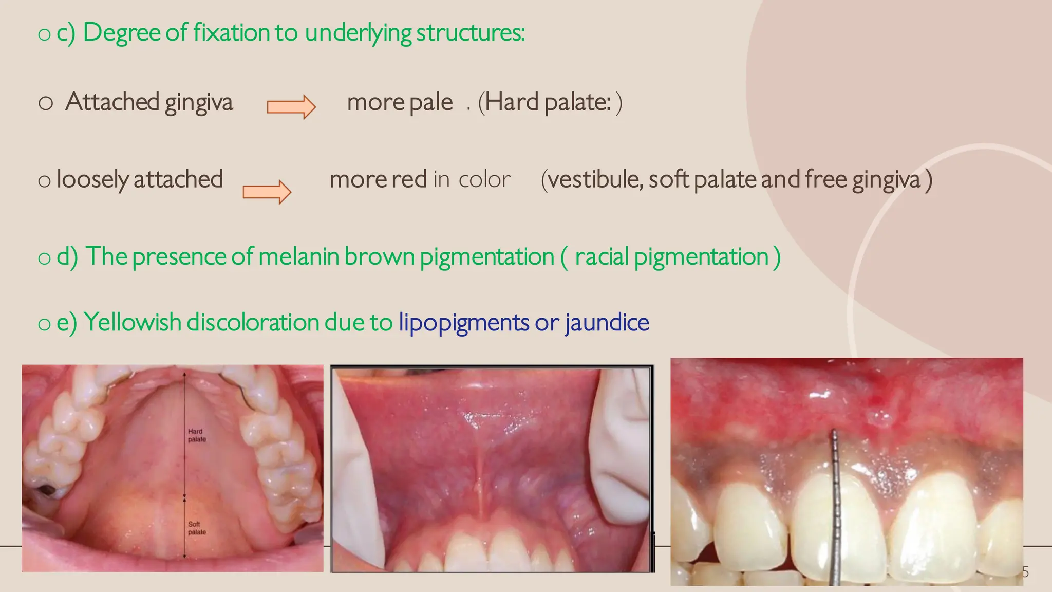 All Extra oral examination .pdf