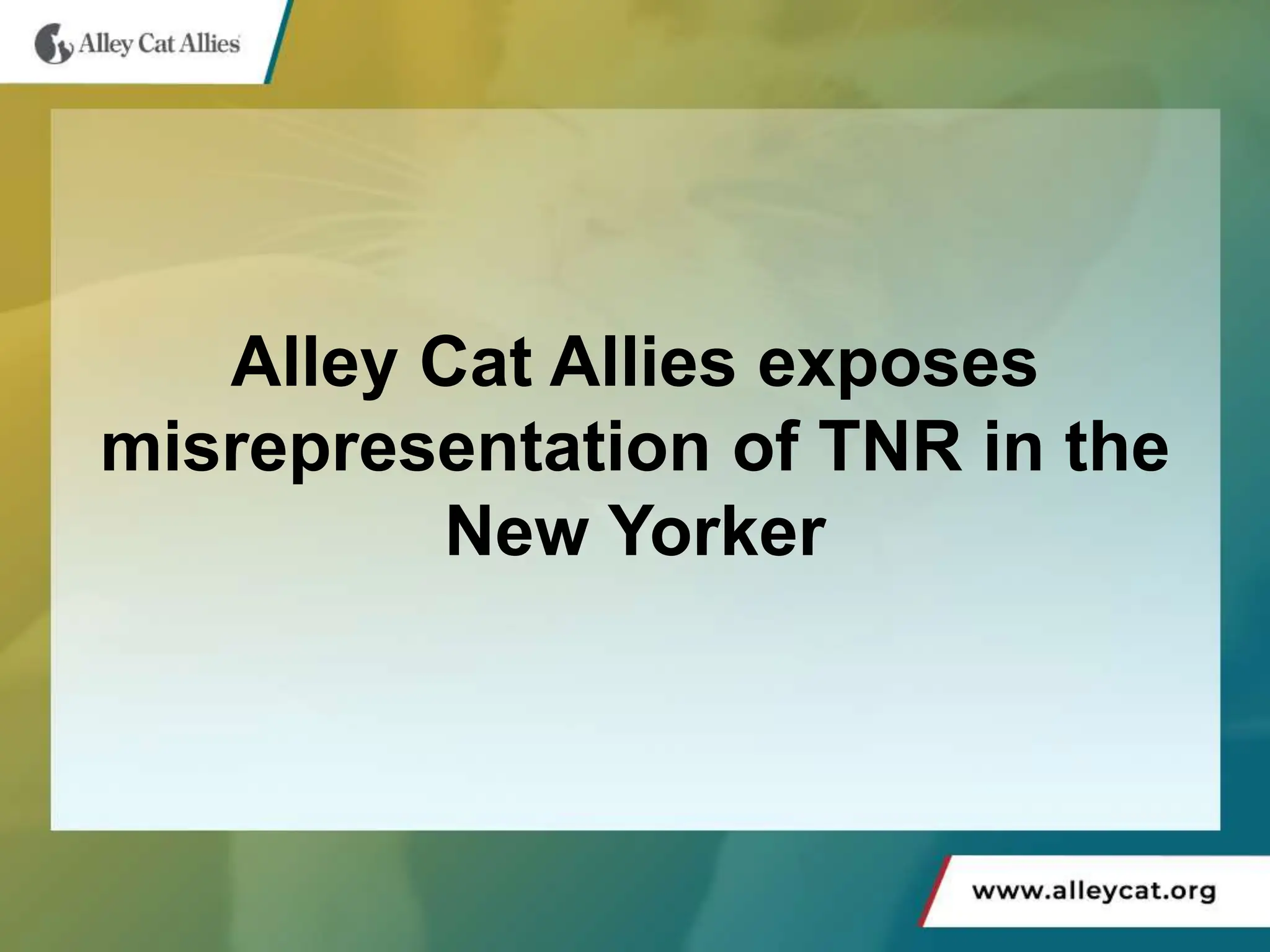 Alley Cat Allies exposes misrepresentation of TNR in the New Yorker | PPT