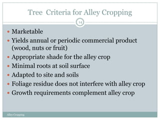 Alley cropping | PPTX