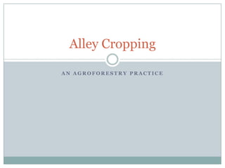 Alley cropping | PPTX