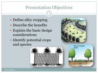 Alley cropping | PPTX