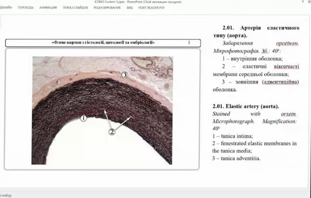 All histo specimen ( content 3 ) pdf.pdf