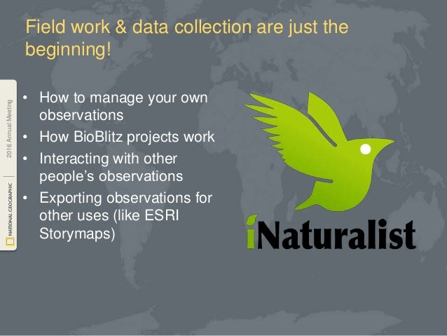 What do to with iNaturalist after your BioBlitz