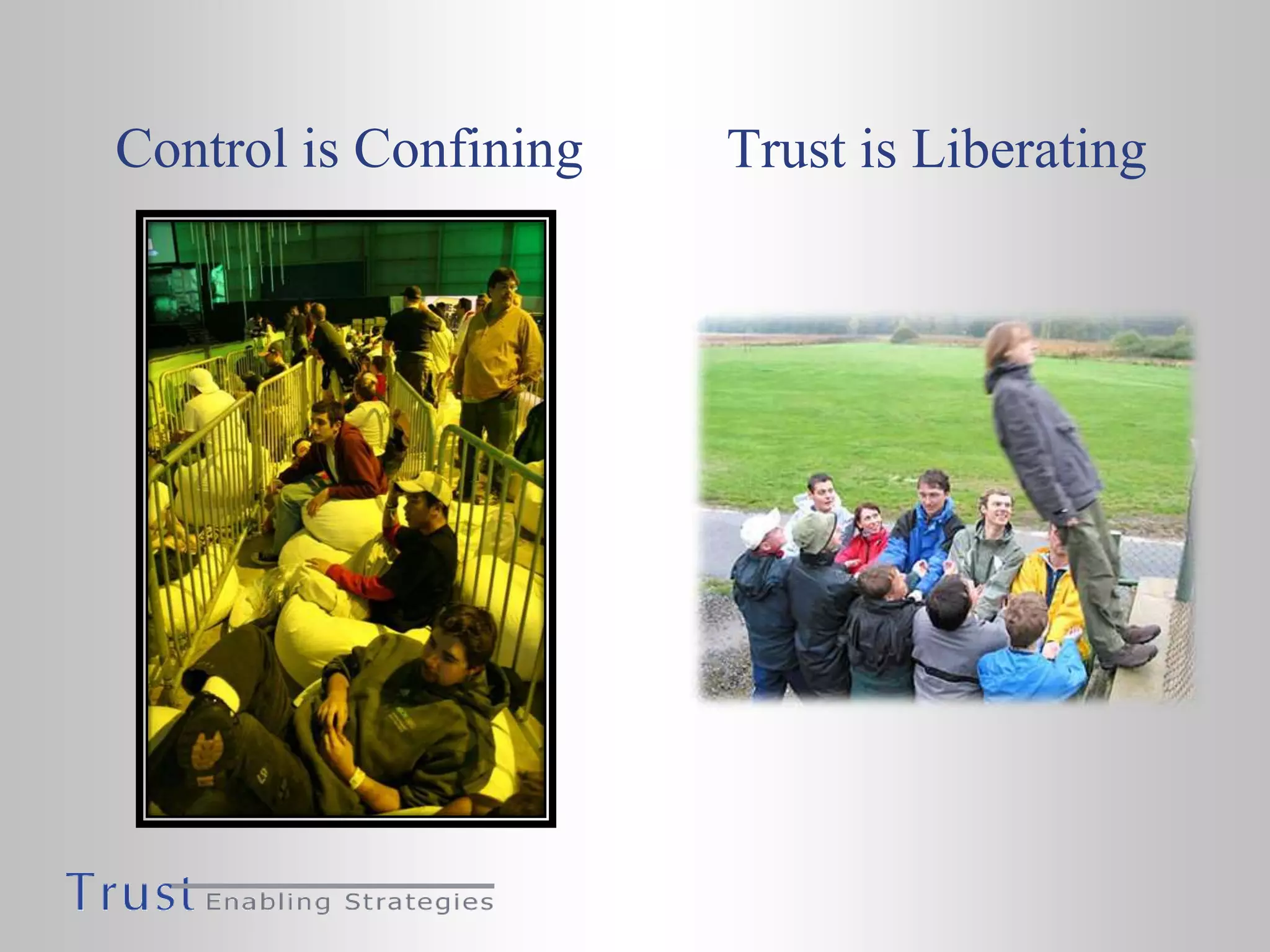 Alliance Governance: Balancing Trust and Control in Dealing with Risk | PPT