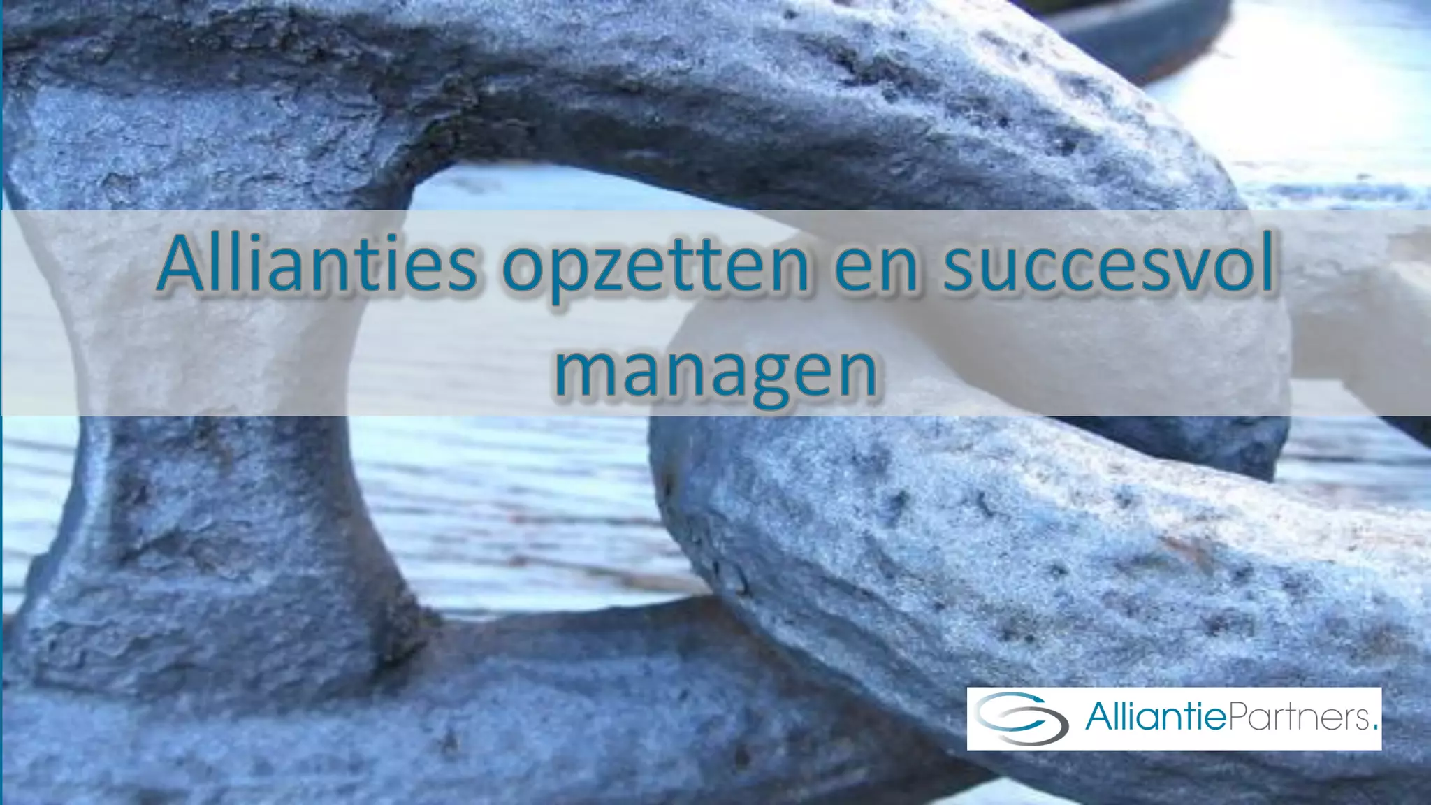 Allianties opzetten en succesvol managen | PDF