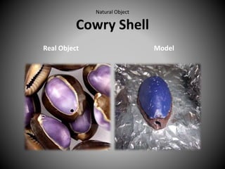 Allied design : cowry shell | PPT