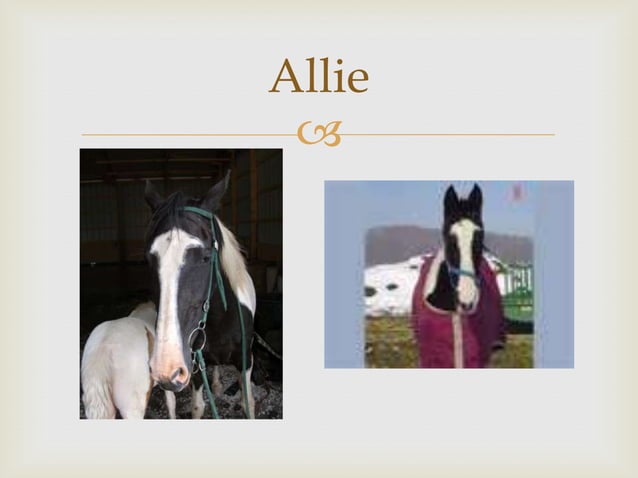 Allie power point | PPTX