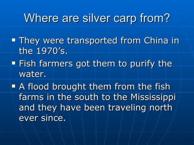 Silver Carp | PPT
