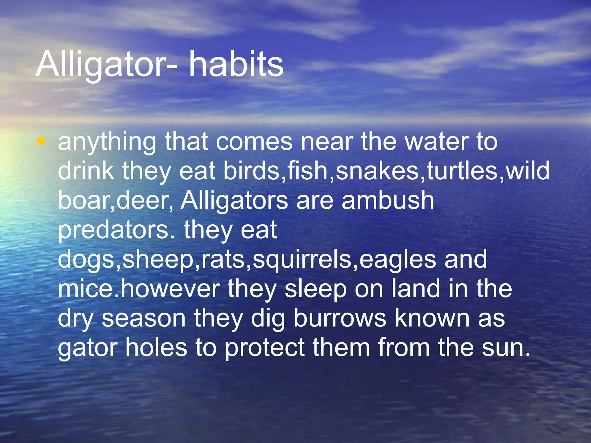 Alligator | PPT