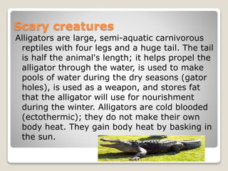Life Cycle of Alligator For Elementary | PPTX | Dental Health ...
