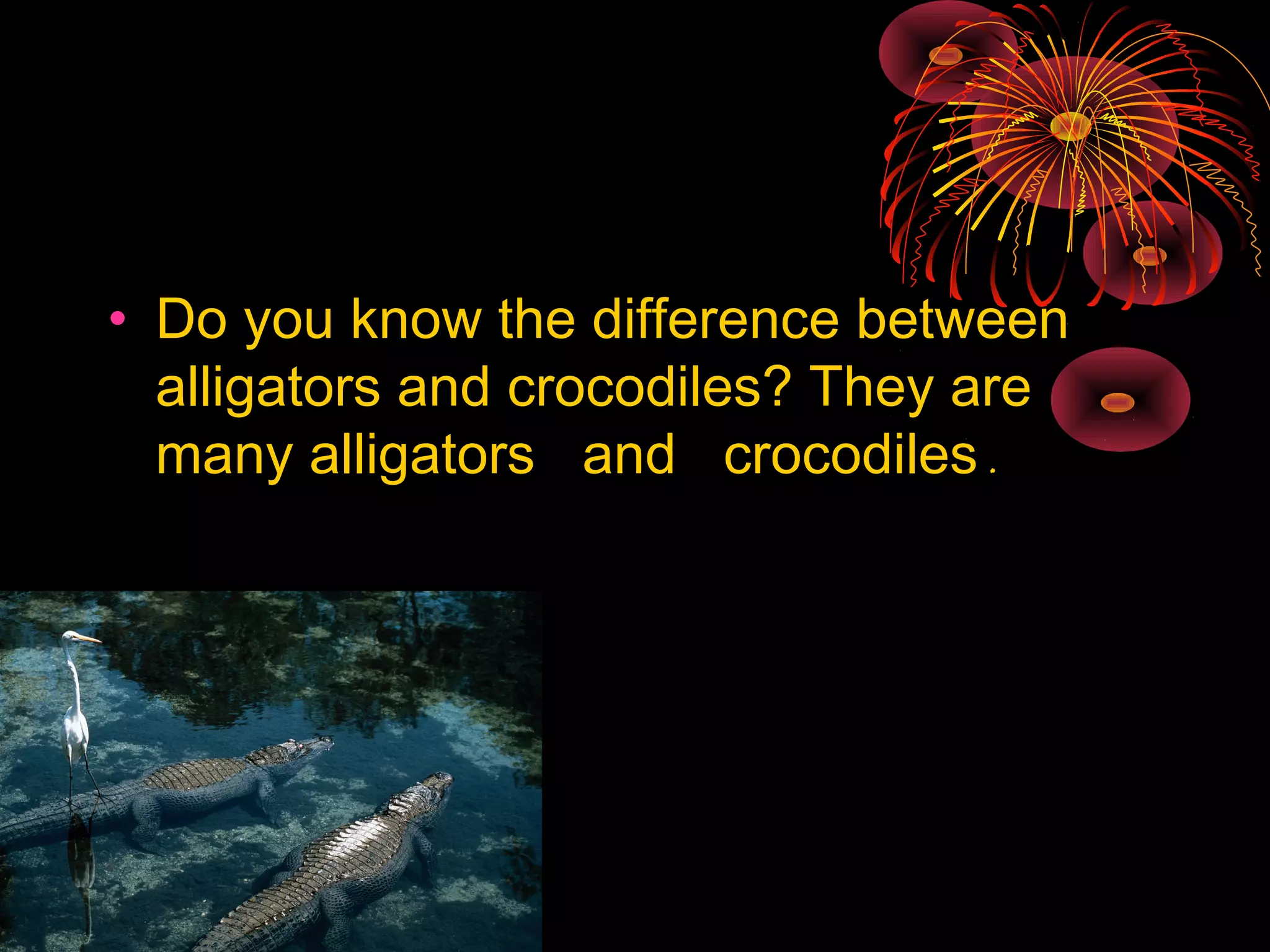 Alligator and crcodiles karina | PPT