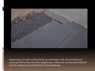 Alligatoring of Your Roof | PPT