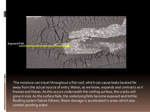 Alligatoring of Your Roof