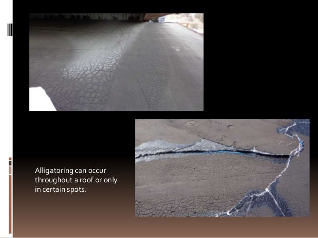 Alligatoring of Your Roof