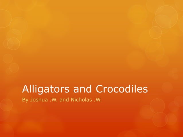 Alligators | PPT