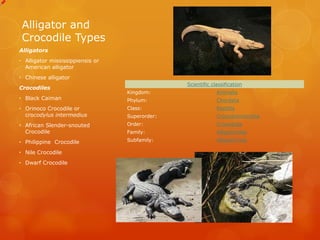Alligators | PPTX