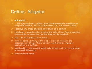 Alligators | PPT