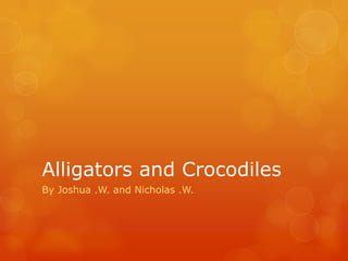 Alligators | PPTX
